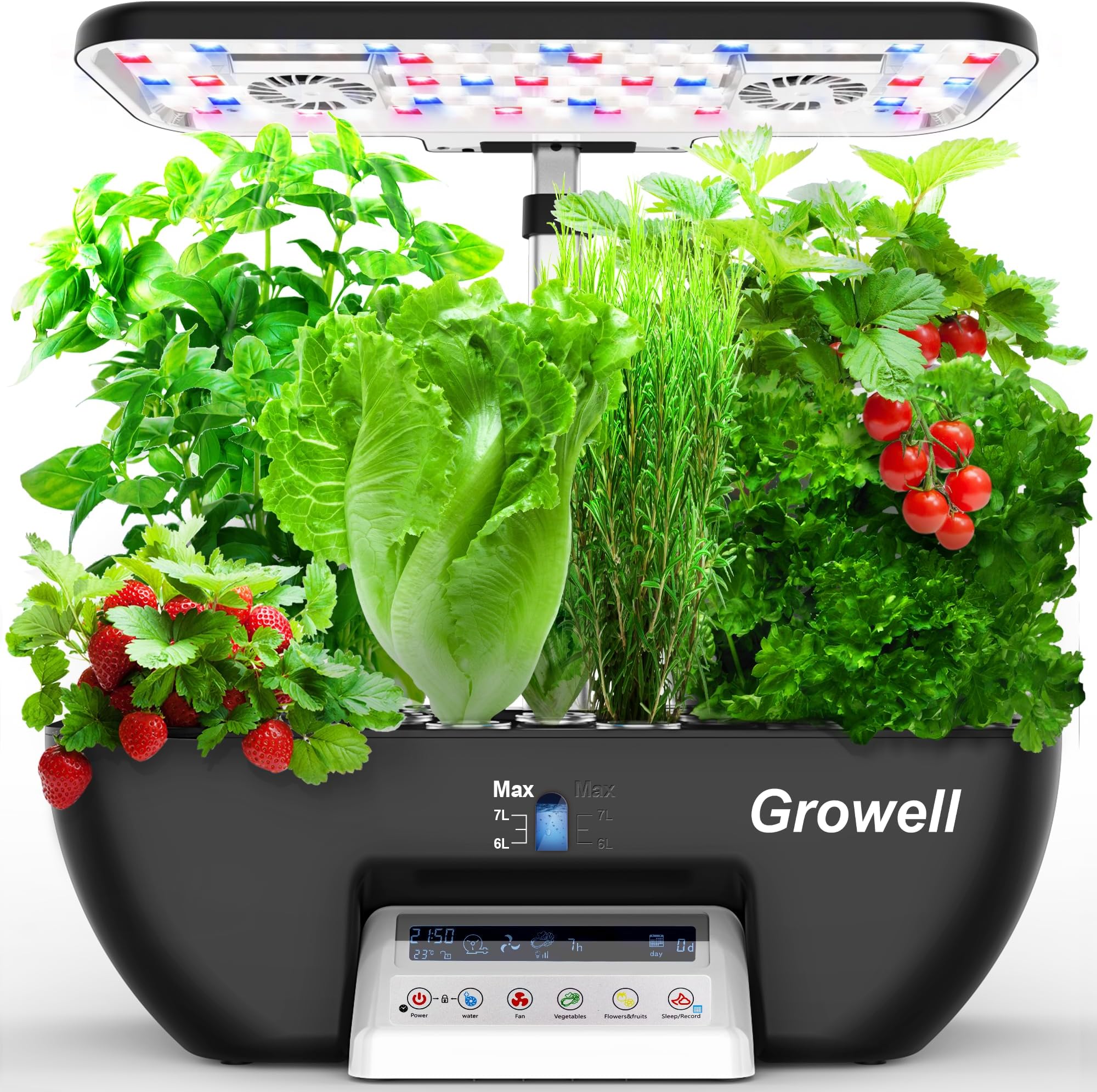 Amazon.com: Ahopegarden Hydroponics Growing System kit Indoor Garden ...