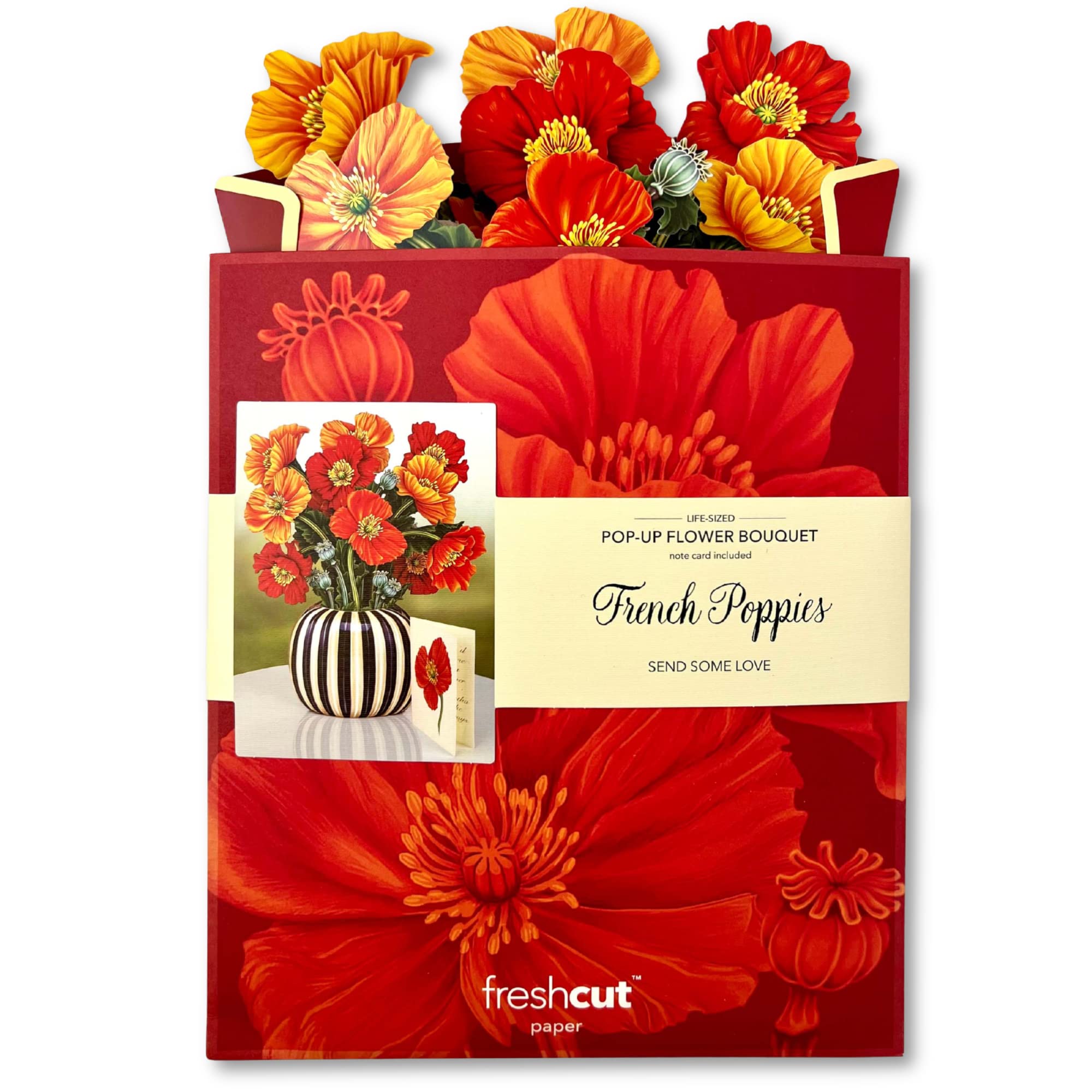 Snapklik.com : FreshCut Paper Pop Up Cards, French Blooms, 12 Inch Life ...