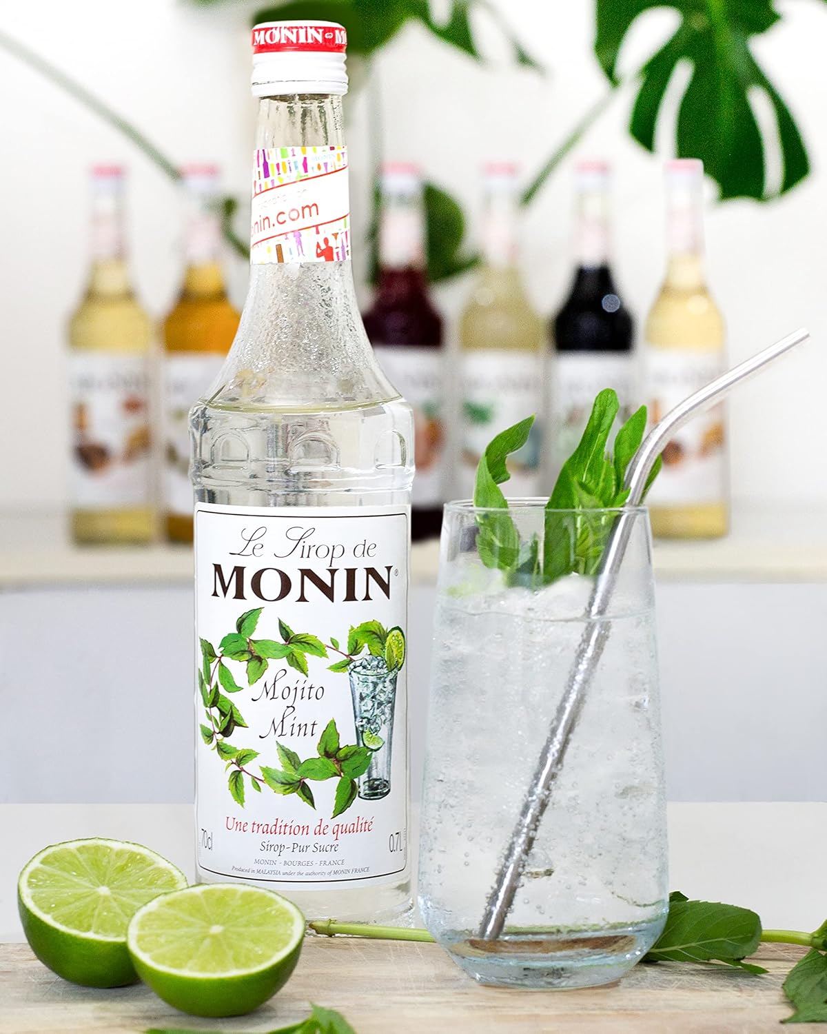 8 Best Mojito Syrups In India Reviewed - July 2025 | True Buddy