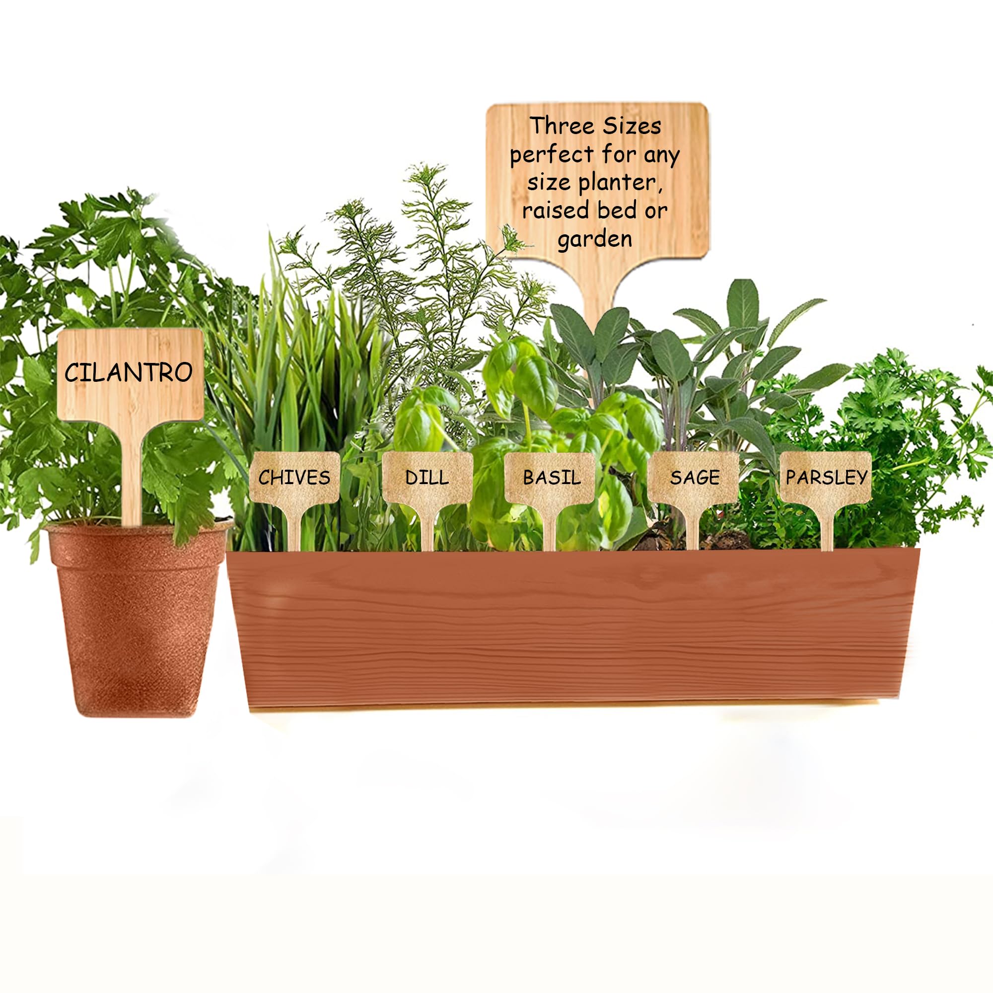 50 Pack 8 Inch Tall Plant Labels Large Garden Markers Plant Name Tags ...