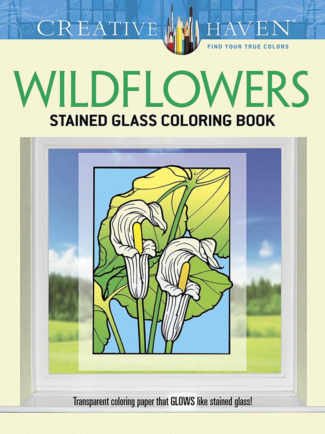 Creative Haven Wildflowers Stained Glass Coloring Book (Adult Coloring ...