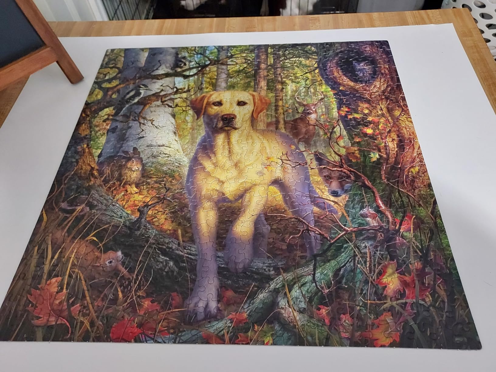 Amazon.com: Ceaco - Mark Fredrickson - Yellow Lab - 500 Piece Jigsaw ...