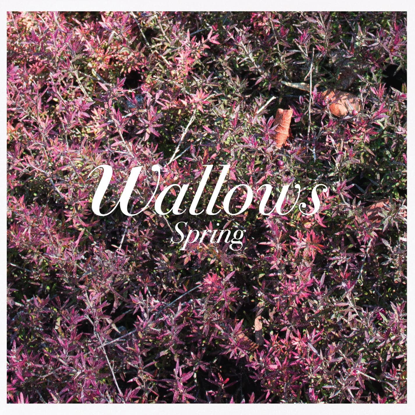 Amazon.com: Spring: CDs & Vinyl