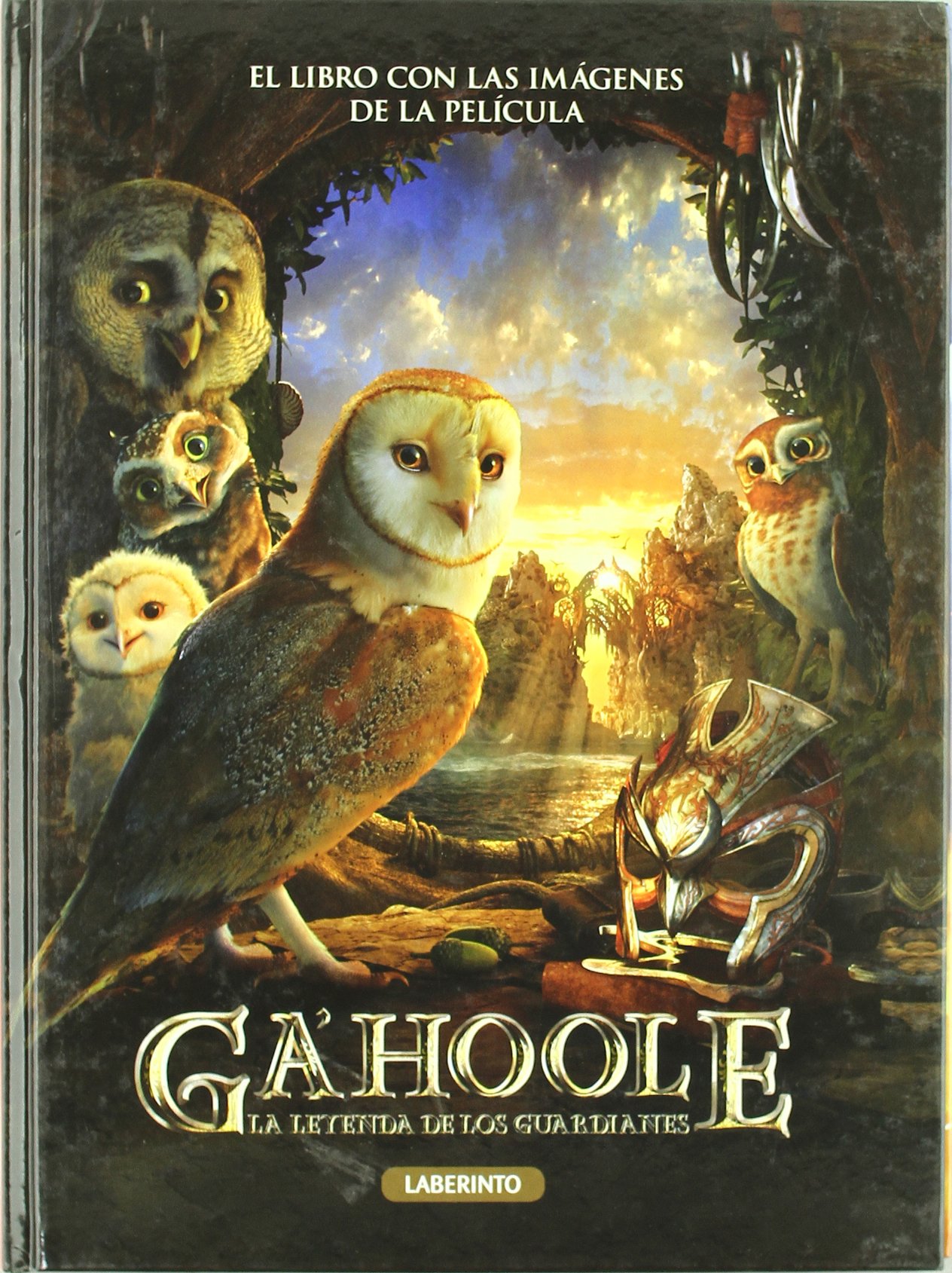 Ga`Hoole: La leyenda de los Guardianes (Álbumes Ilustrados; Infantil y ...