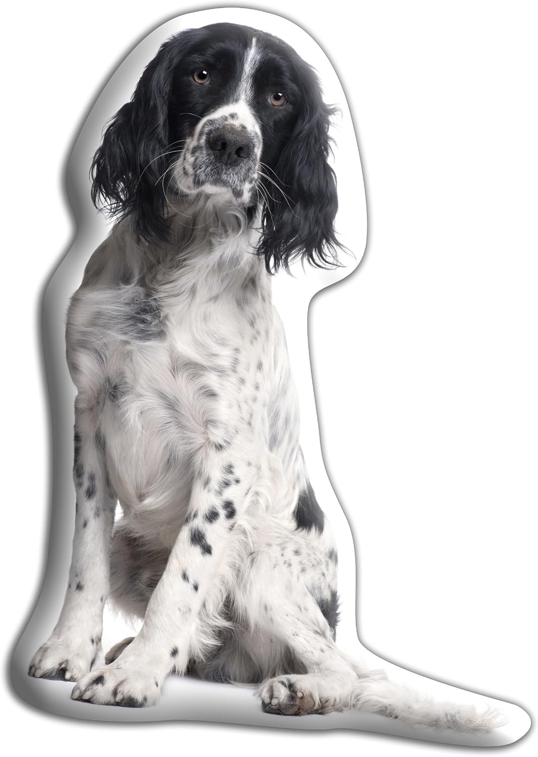 Adorable Cushions Collection Black & White Springer Spaniel Shaped ...