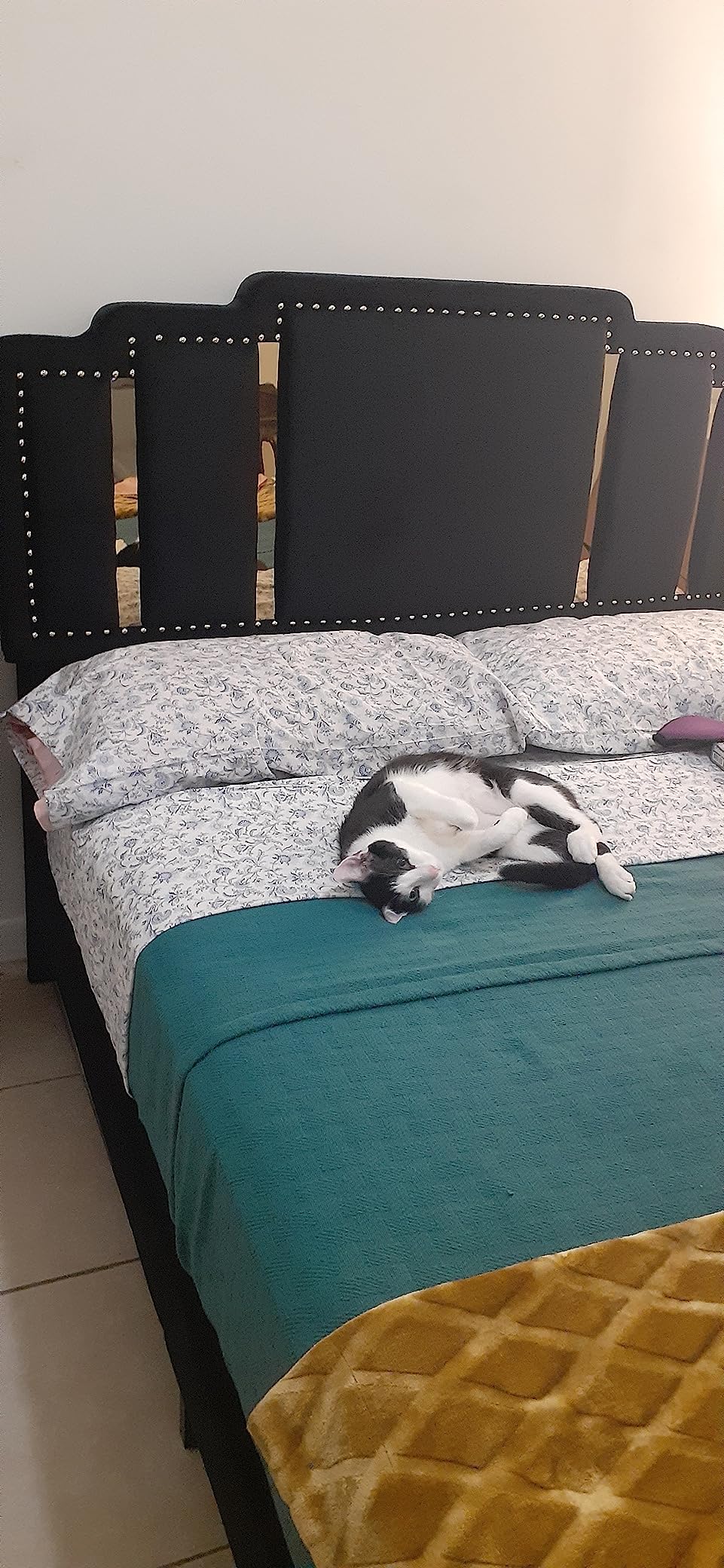 $32/mo - Finance HIFIT Full Size Modern Velvet Upholstered Bed Frame ...