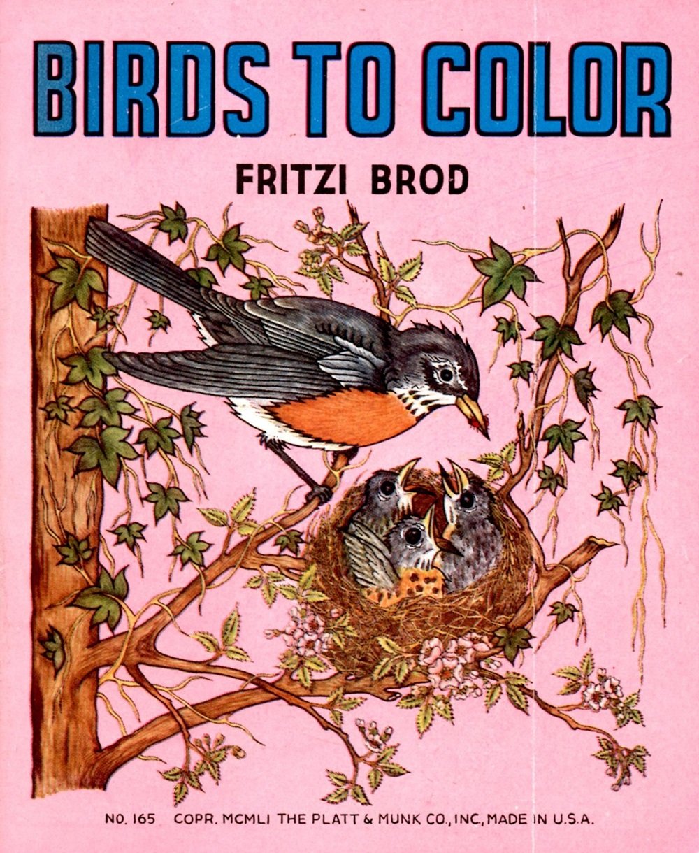Birds to Color: W.J. Beecher, Fritzi Brod: Amazon.com: Books