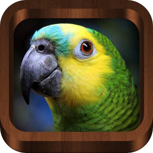 Bird Calls - Bird Guide with 2000+ Bird Songs & Sounds (Mobile, Tablets ...