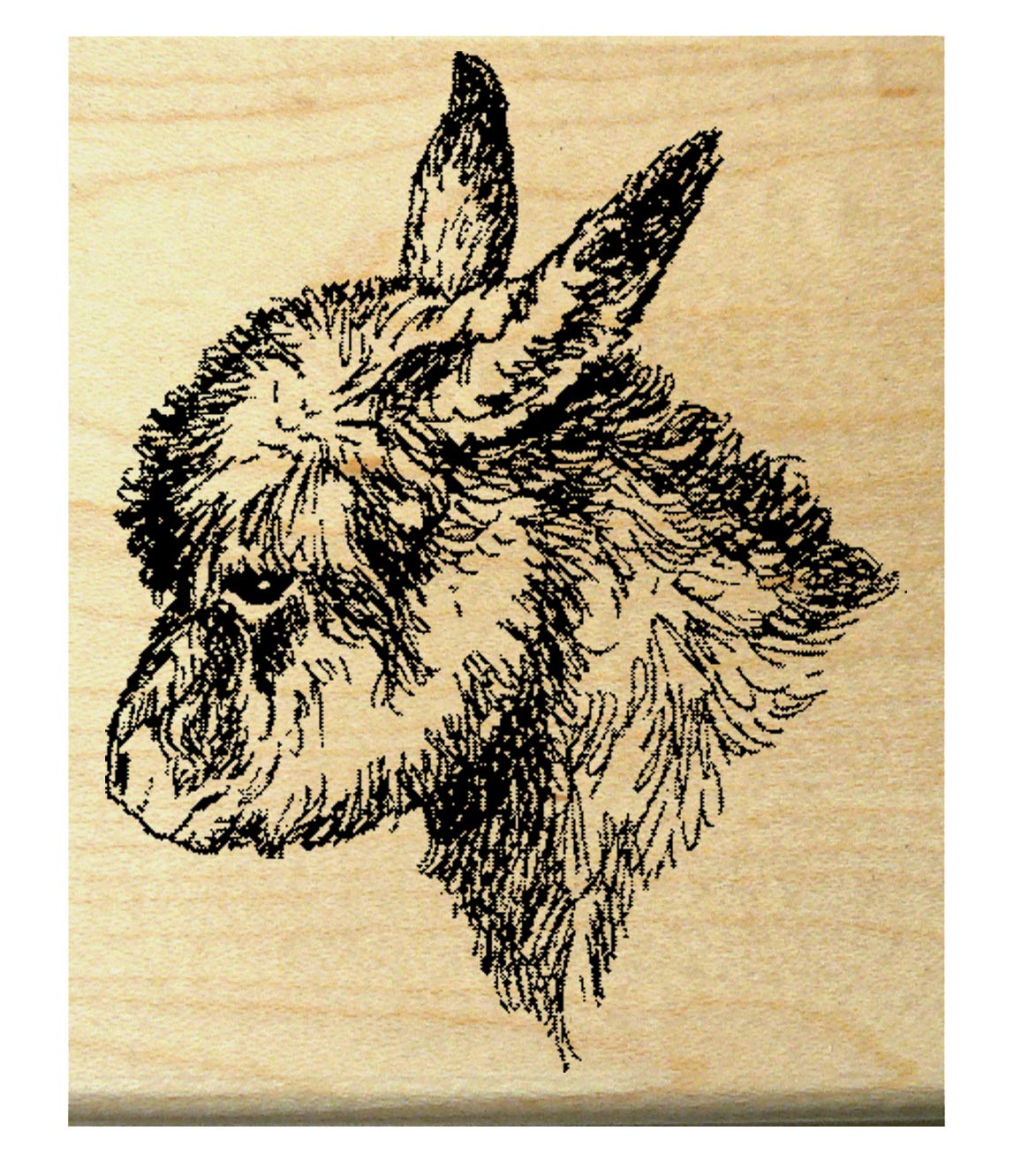 Amazon.com: Donkey Rubber Stamp P23 : Arts, Crafts & Sewing