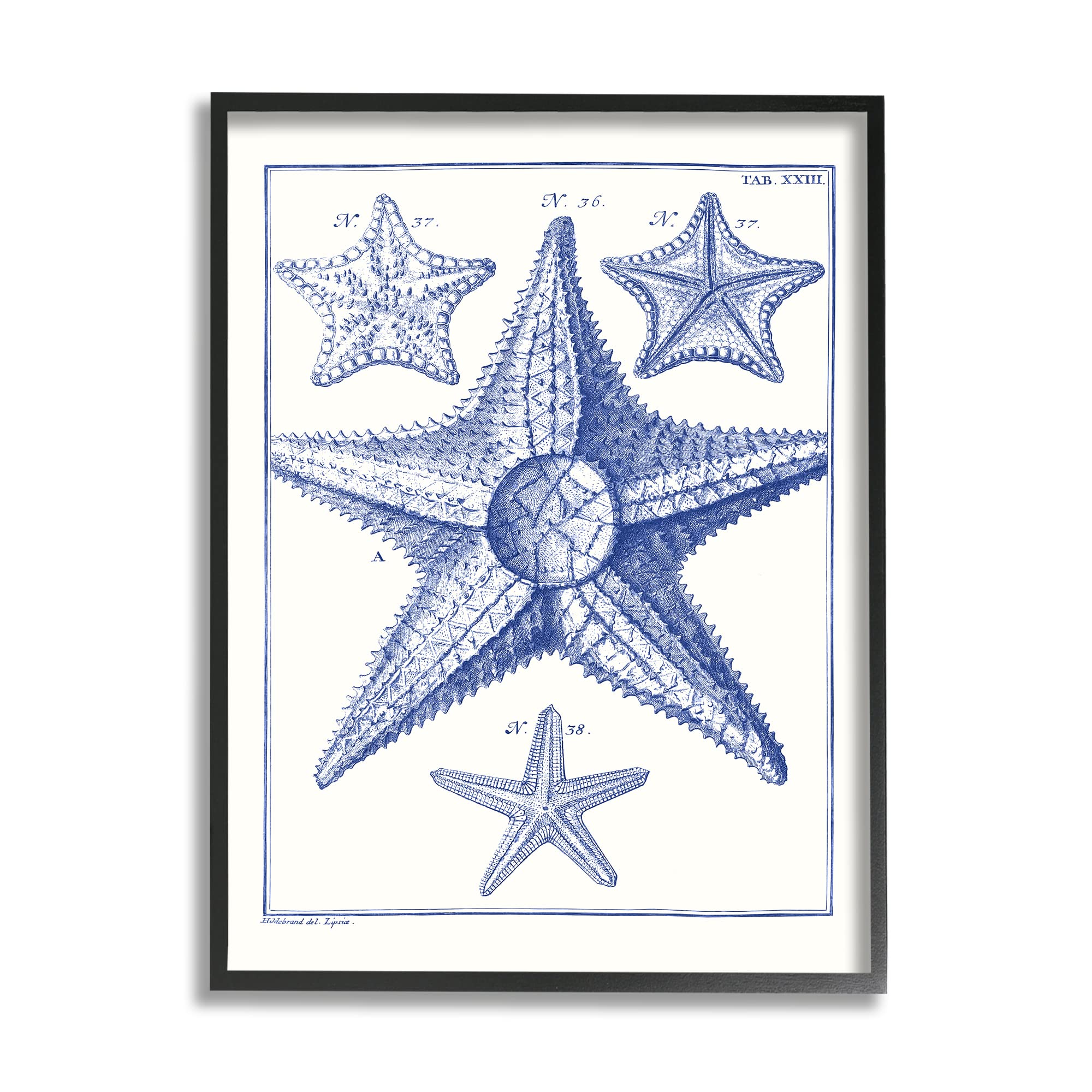Nautical Starfish Design