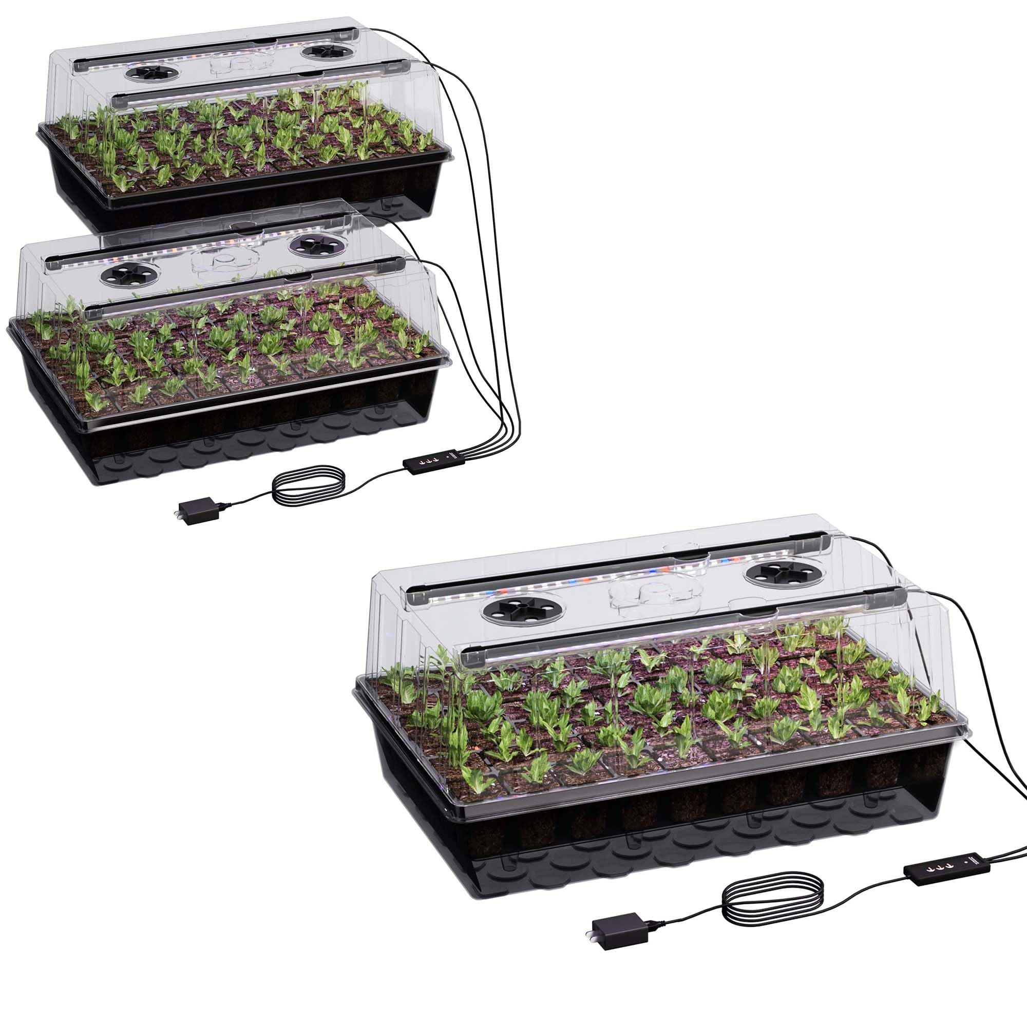 Amazon.com : Patigrow Self -Watering Seed Starter Tray with Grow Light ...