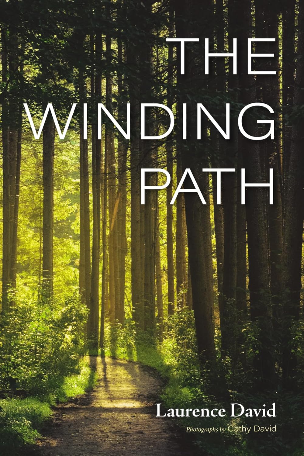 The Winding Path: David, Laurence, David, Cathy: 9781666770131: Amazon ...