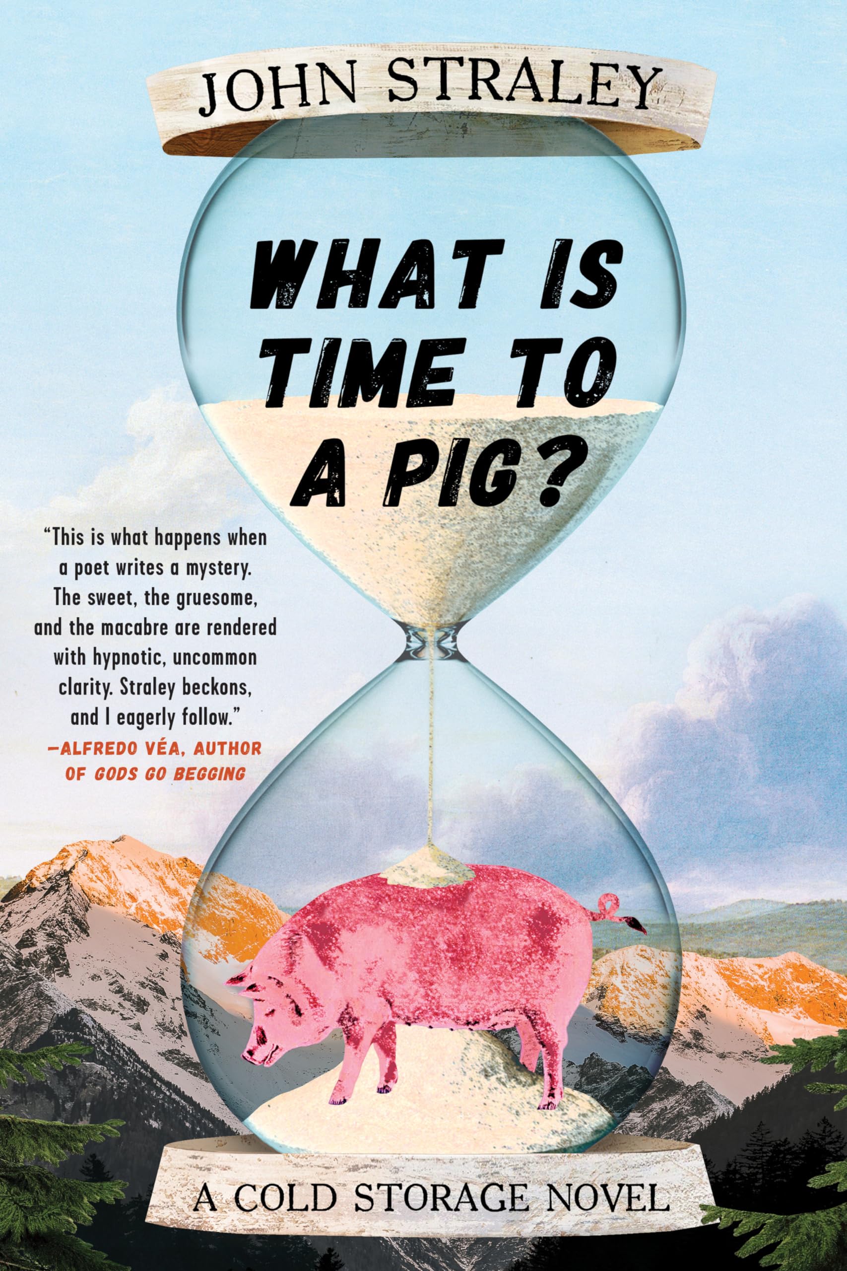 What Is Time to a Pig? (A Cold Storage Novel): Straley, John ...