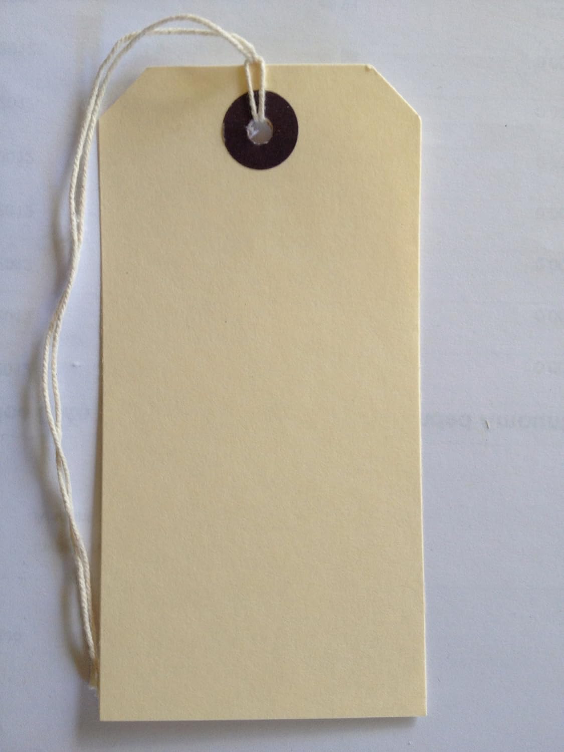 120x60mm Quality Cream Strung Tags pack of 50 : Amazon.co.uk ...