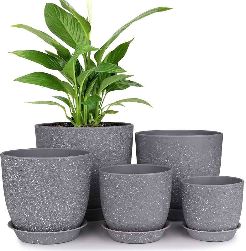 Amazon.com: Planters - Planters / Pots, Planters & Container ...