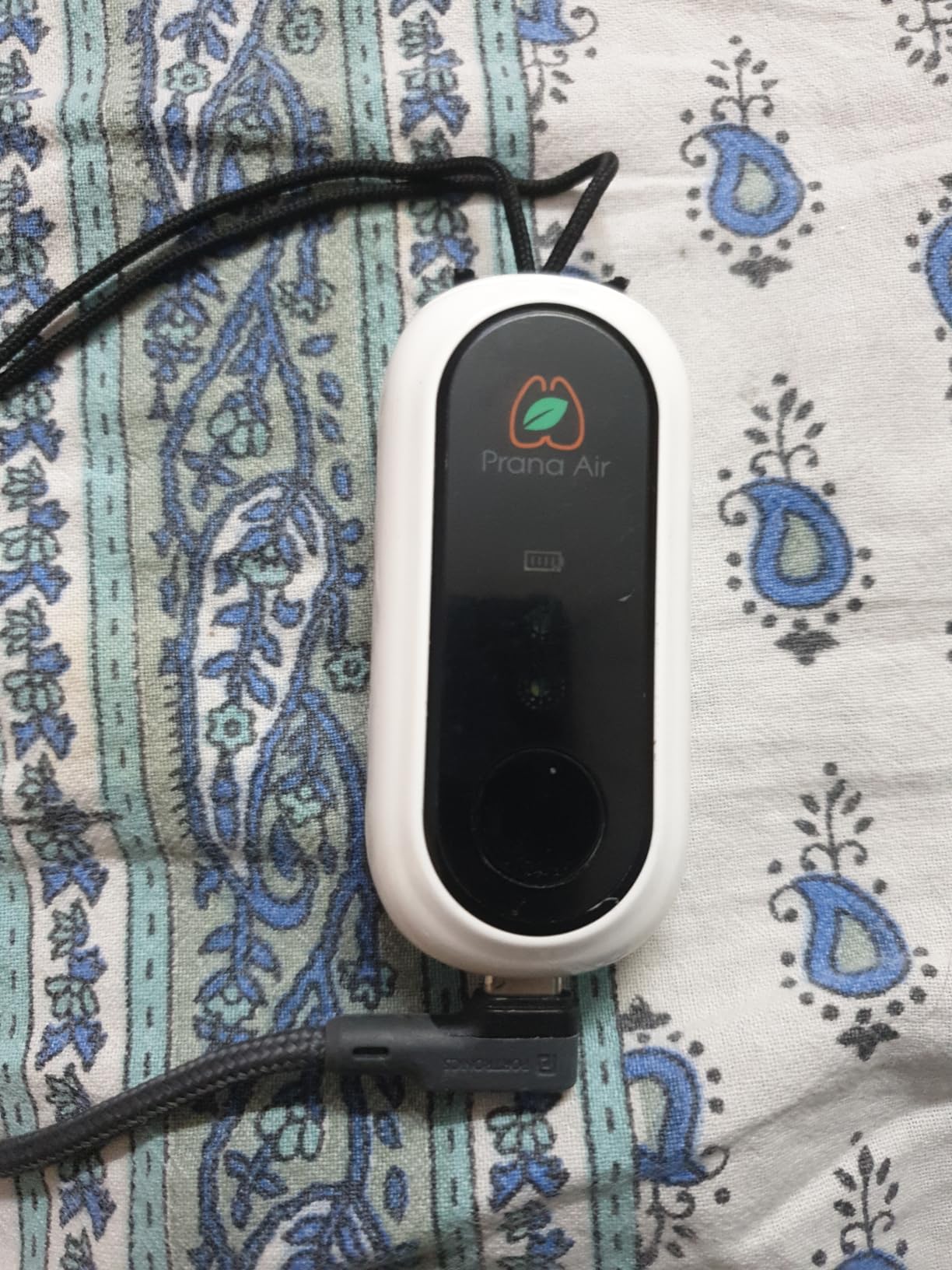 Prana Air Personal Air Purifier | Wearable, Portable, Dual Negative ...