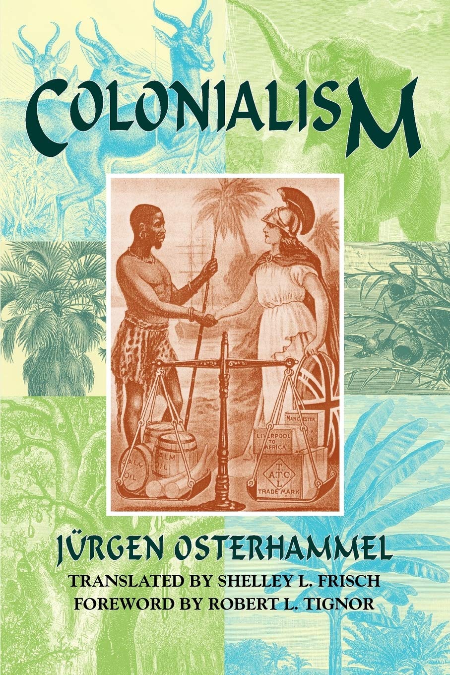 Colonialism: A Theoretical Overview: Amazon.co.uk: Osterhammel, Jurgen ...