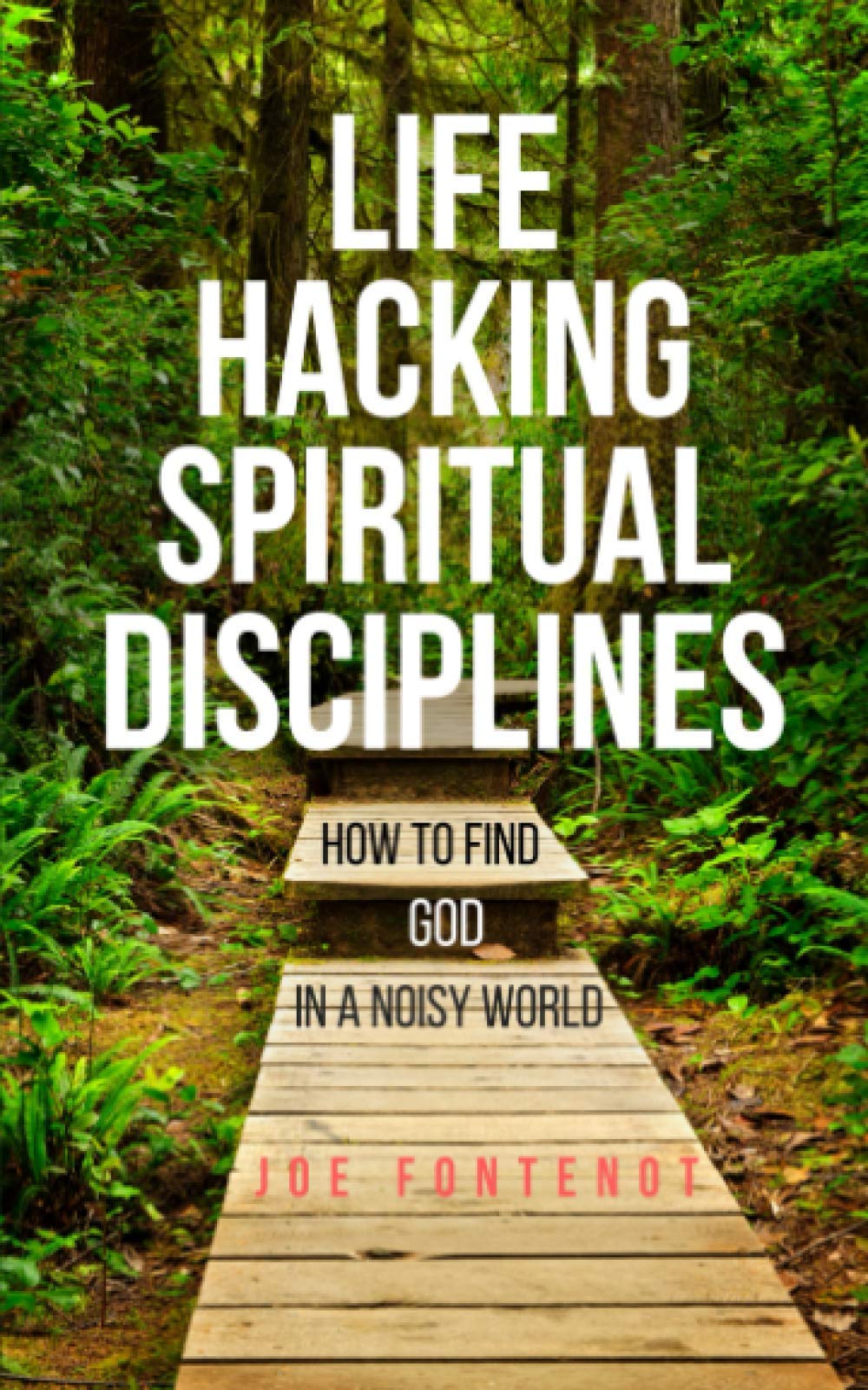 Life Hacking Spiritual Disciplines: How to Find God in a Noisy World ...