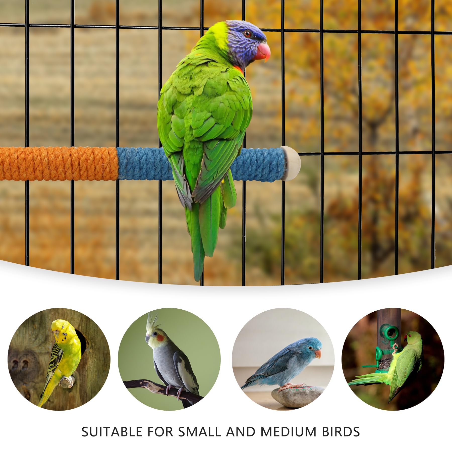 Bird Nail Trimming For Small Birds - 10 Pack | Natural Nail Trimming ...