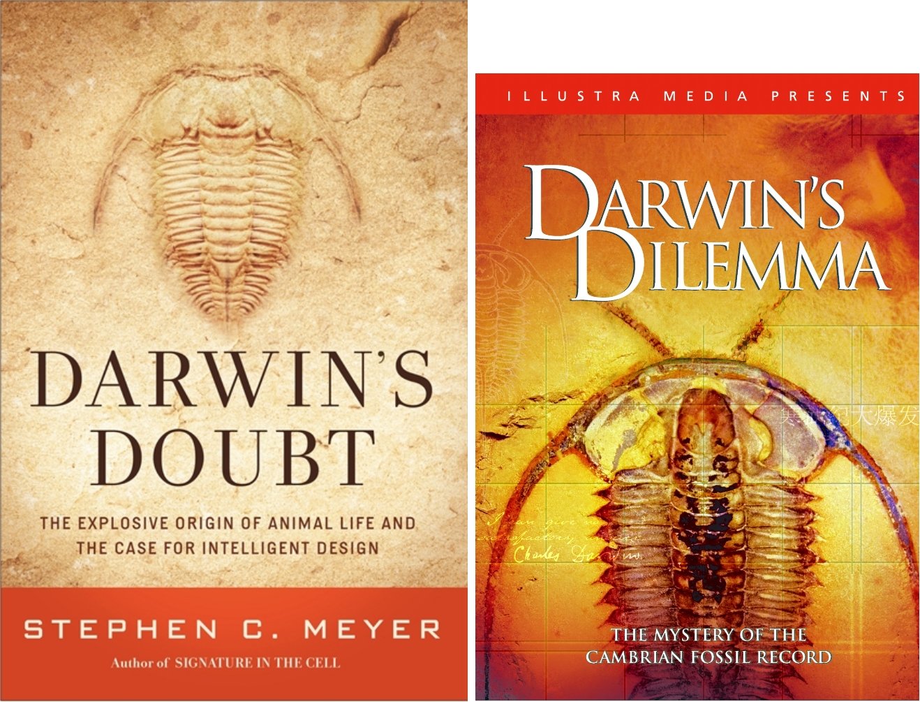 Amazon.com: Darwin's Doubt & Darwin's Dilemma Book & DVD Set : Stephen ...