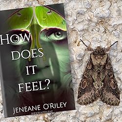 How does it feel?: Infatuated fae book 1: O'Riley, Jeneane, O'Riley, Jeneane: 9798986597867 ...