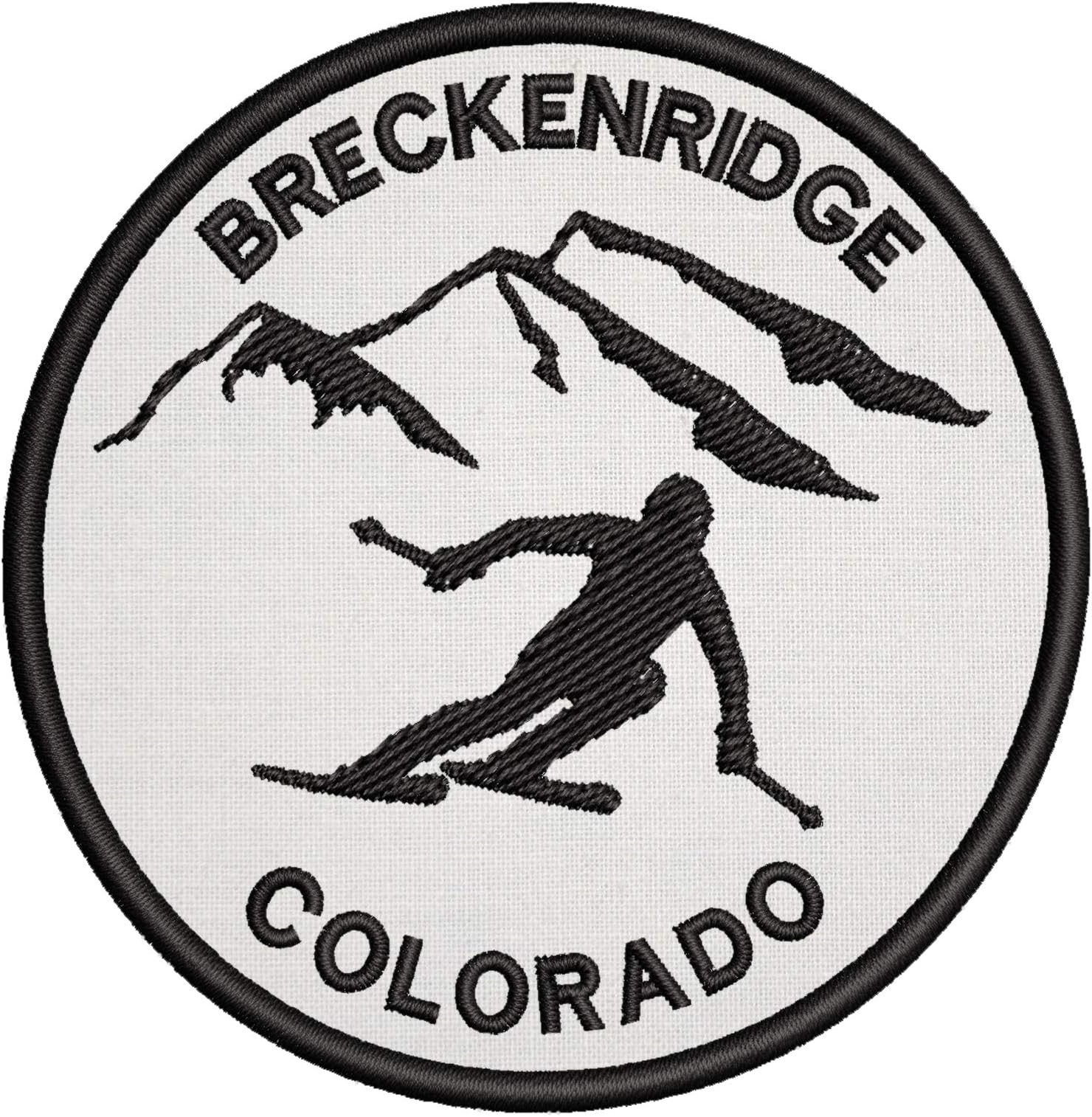 Amazon.com: "SKIING" w/SKIS & POLES-Iron On Embroidered Patch-Ski ...