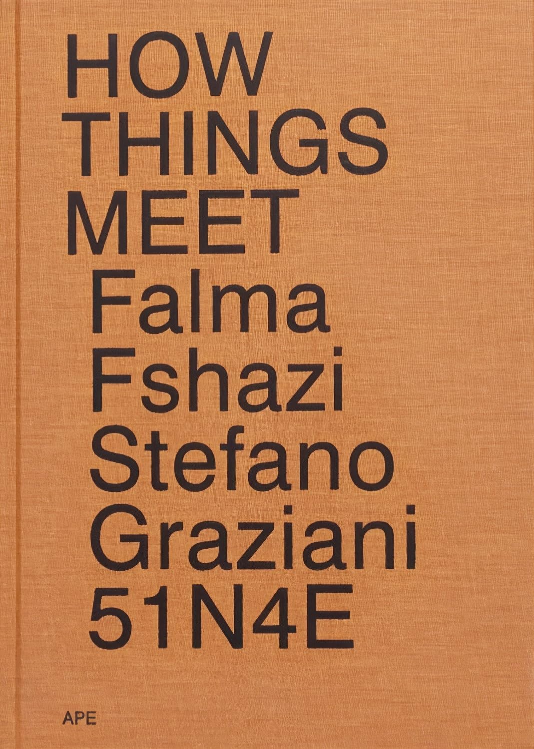 Amazon.com: HOW THINGS MEET FALMA FSHAZI, STEFANO GRAZIANI, 51N4E ...