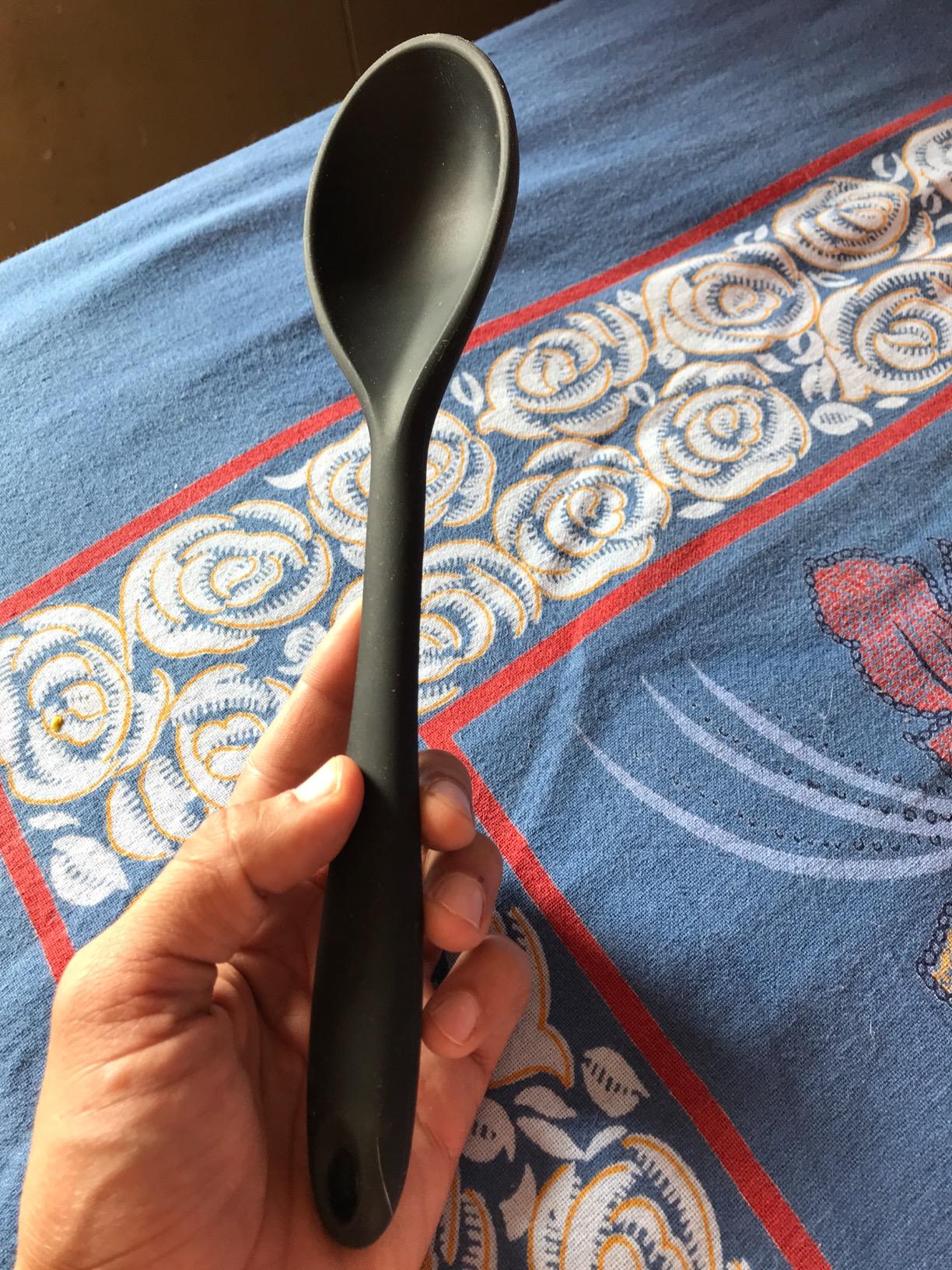 Buy Wonderchef Waterstone Premium Food Grade Silicone Spoon, Black ...