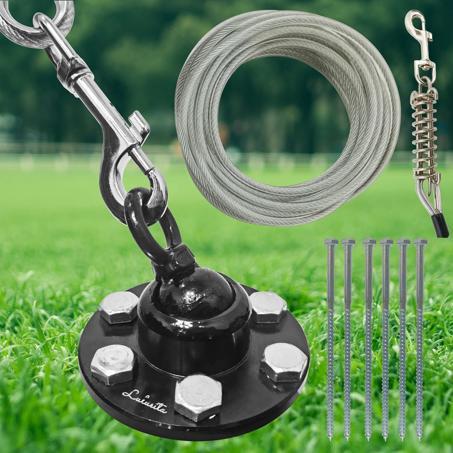 Amazon.com: Lulusita 360° Swivel Dog Tie Out Cable and Stake, Shock ...