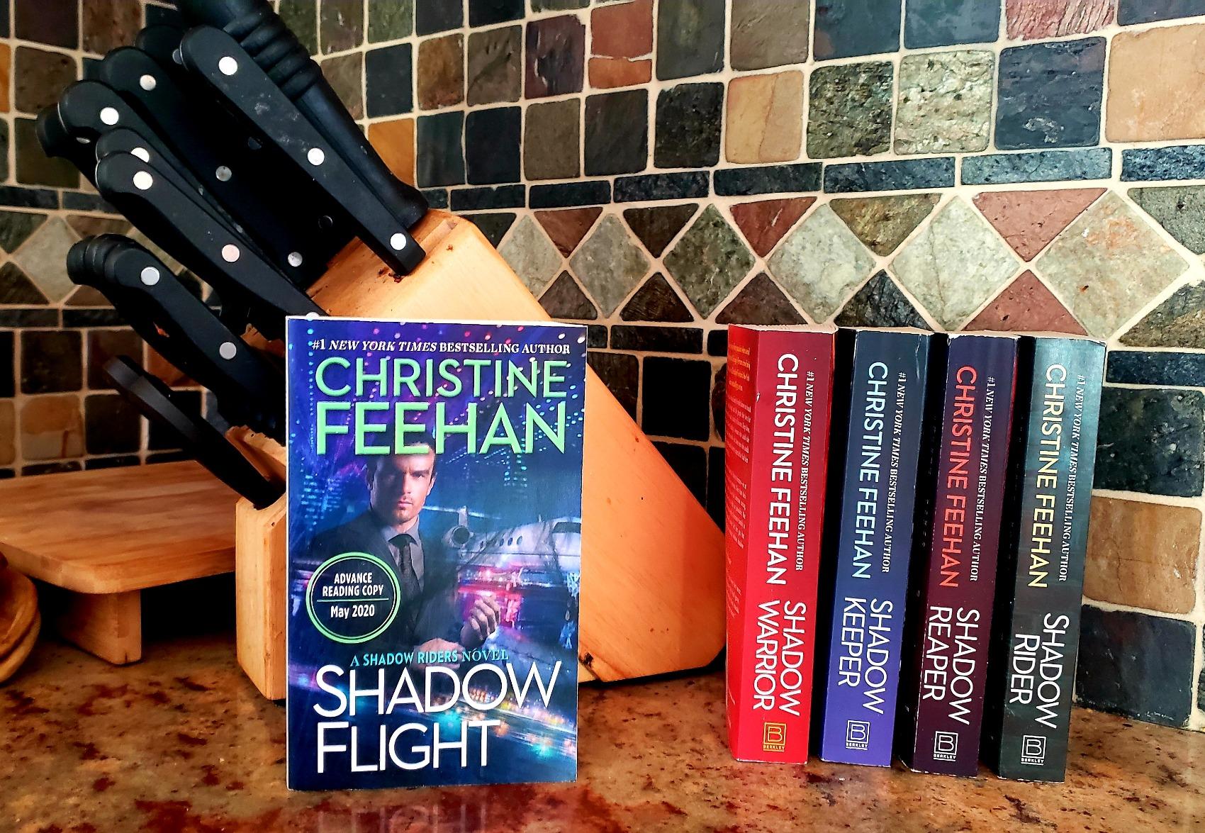 Shadow Flight (A Shadow Riders Novel): Feehan, Christine: 9780593099797 ...