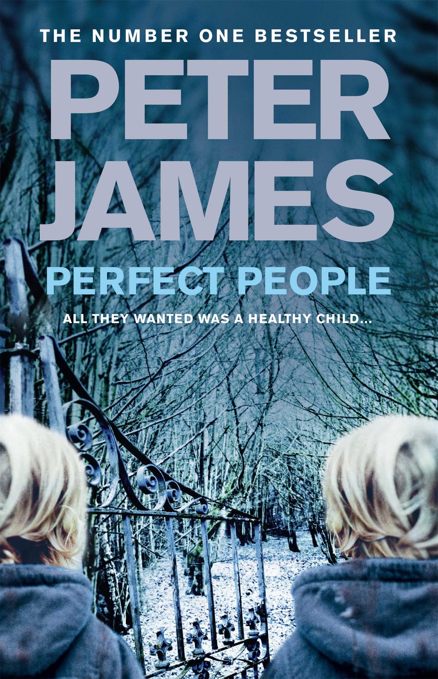Perfect People : James, Peter: Amazon.co.uk: Books