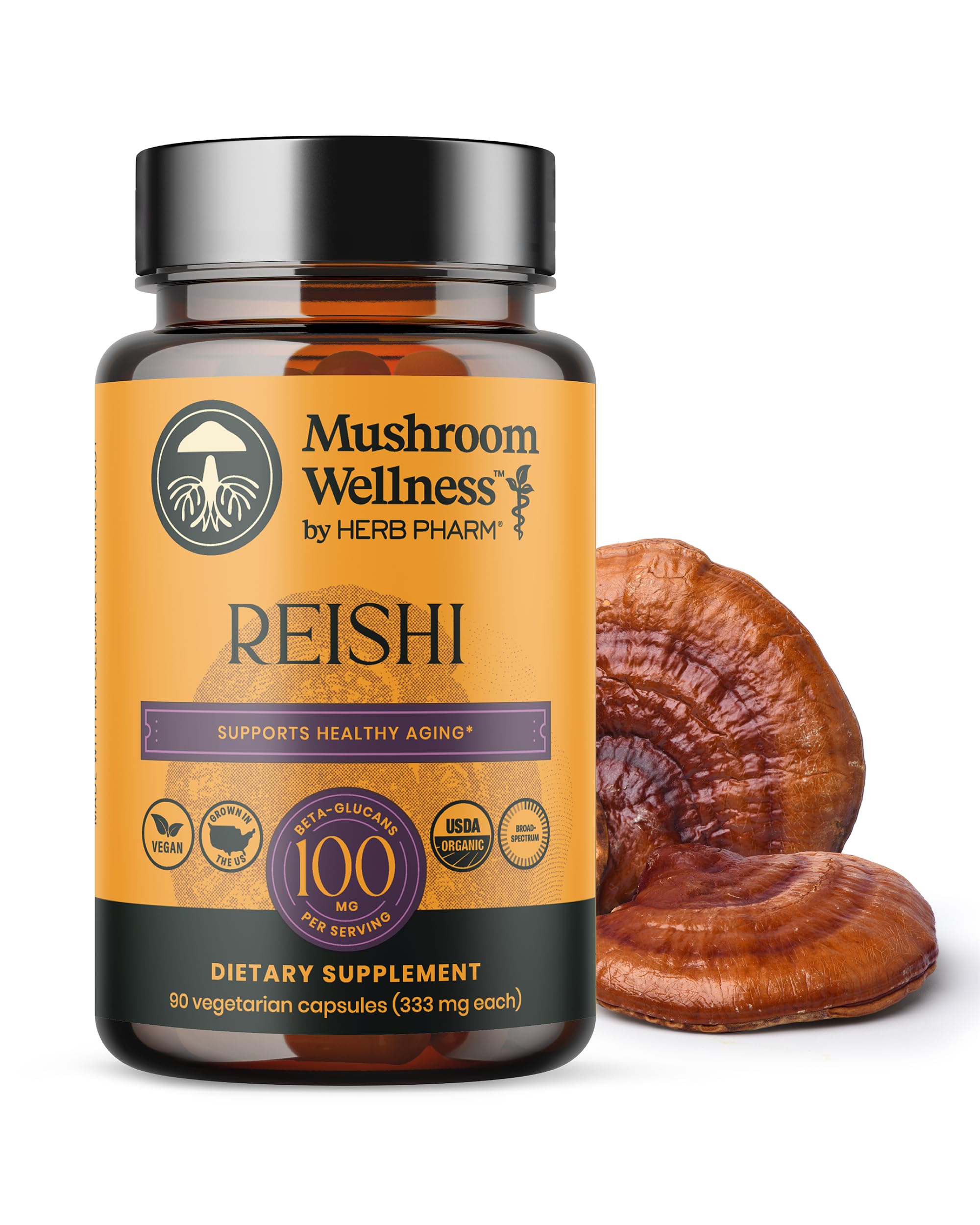 Amazon.com: Mushroom Wellness Reishi: Organic Red Reishi Mushroom ...