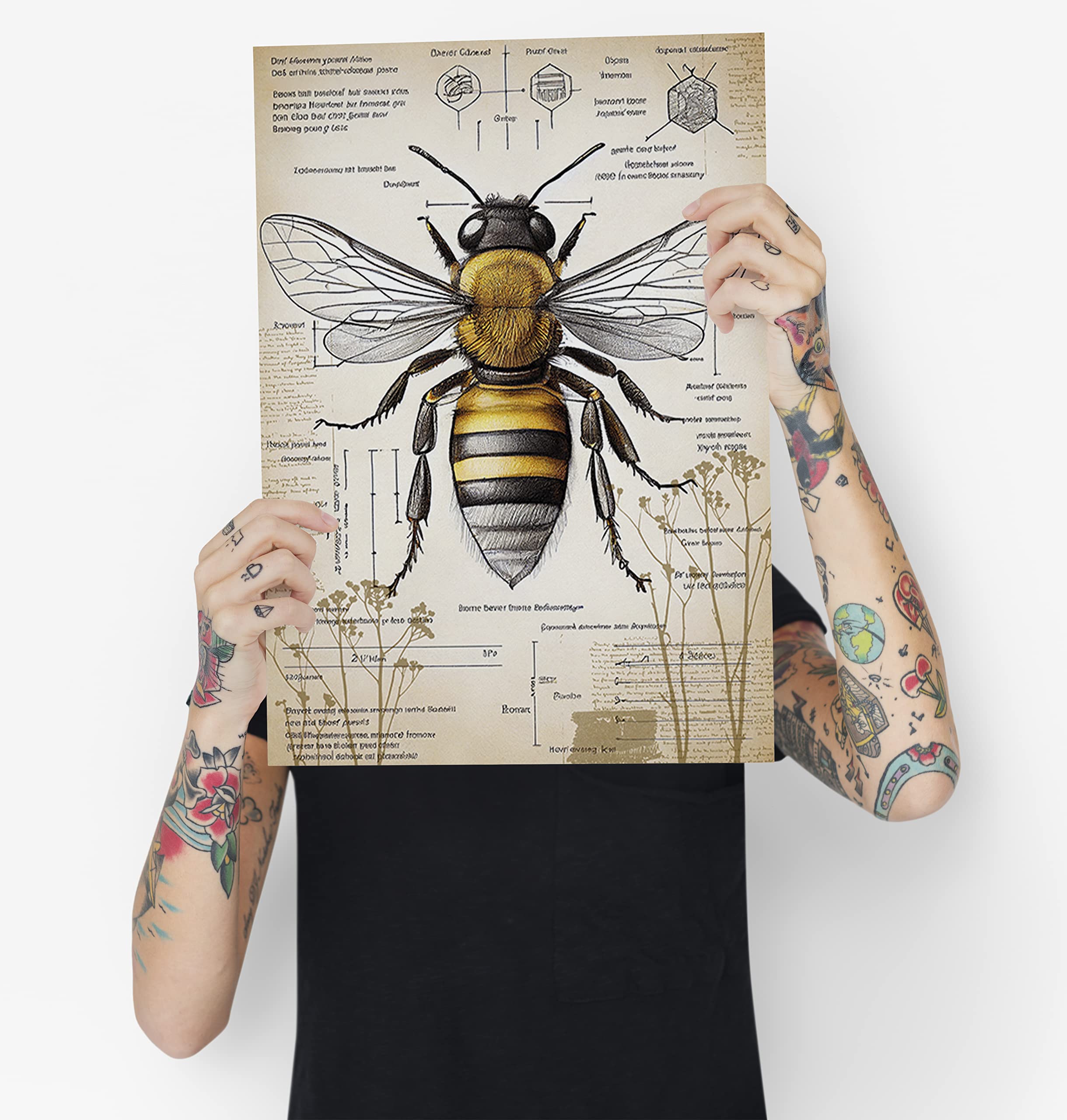 Bee Anatomy Diagram Bee, Beetle, Or Bug? An Introduction To Insect