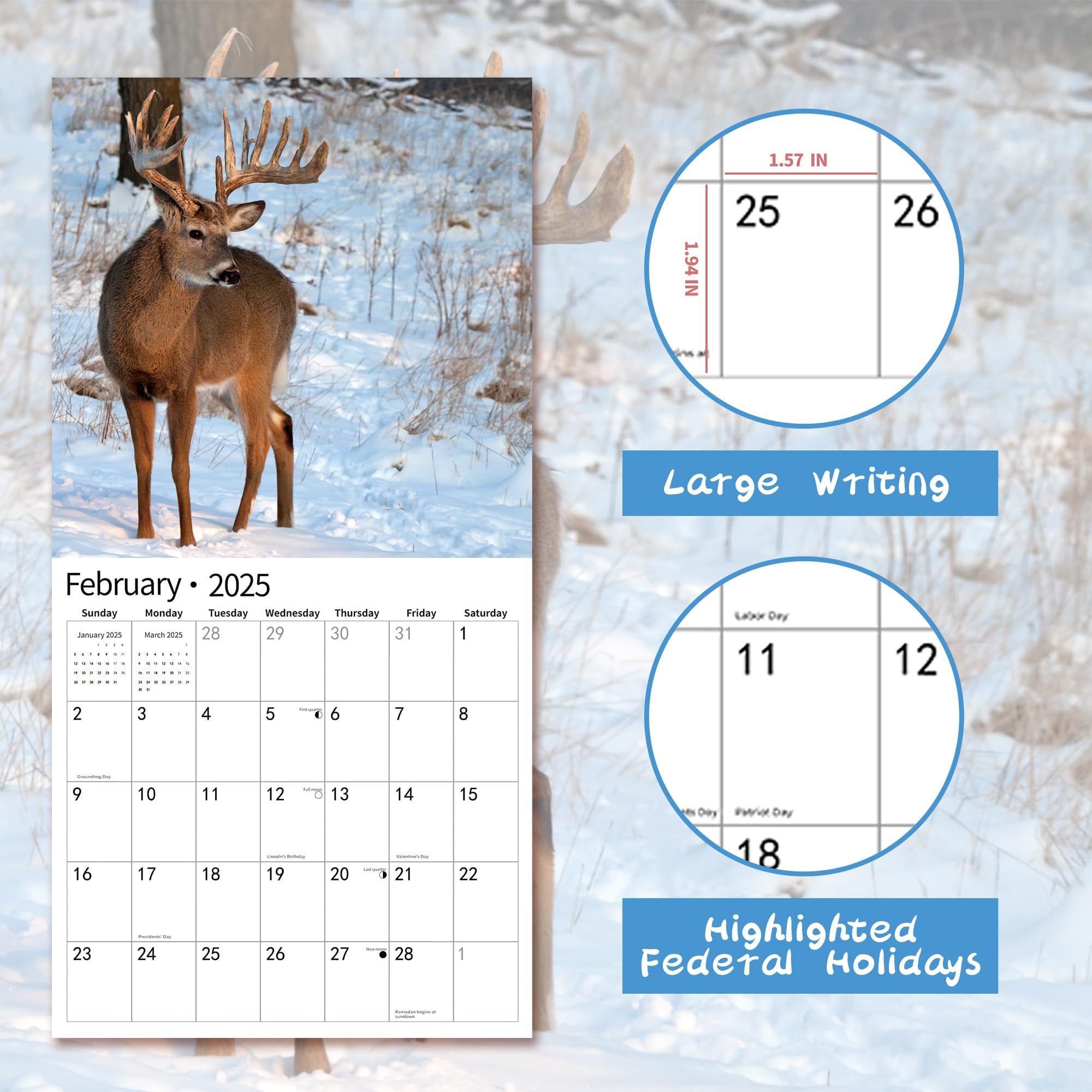 Snapklik.com : 2025 Wall Calendar,Calendar 2025, January 2025 ...
