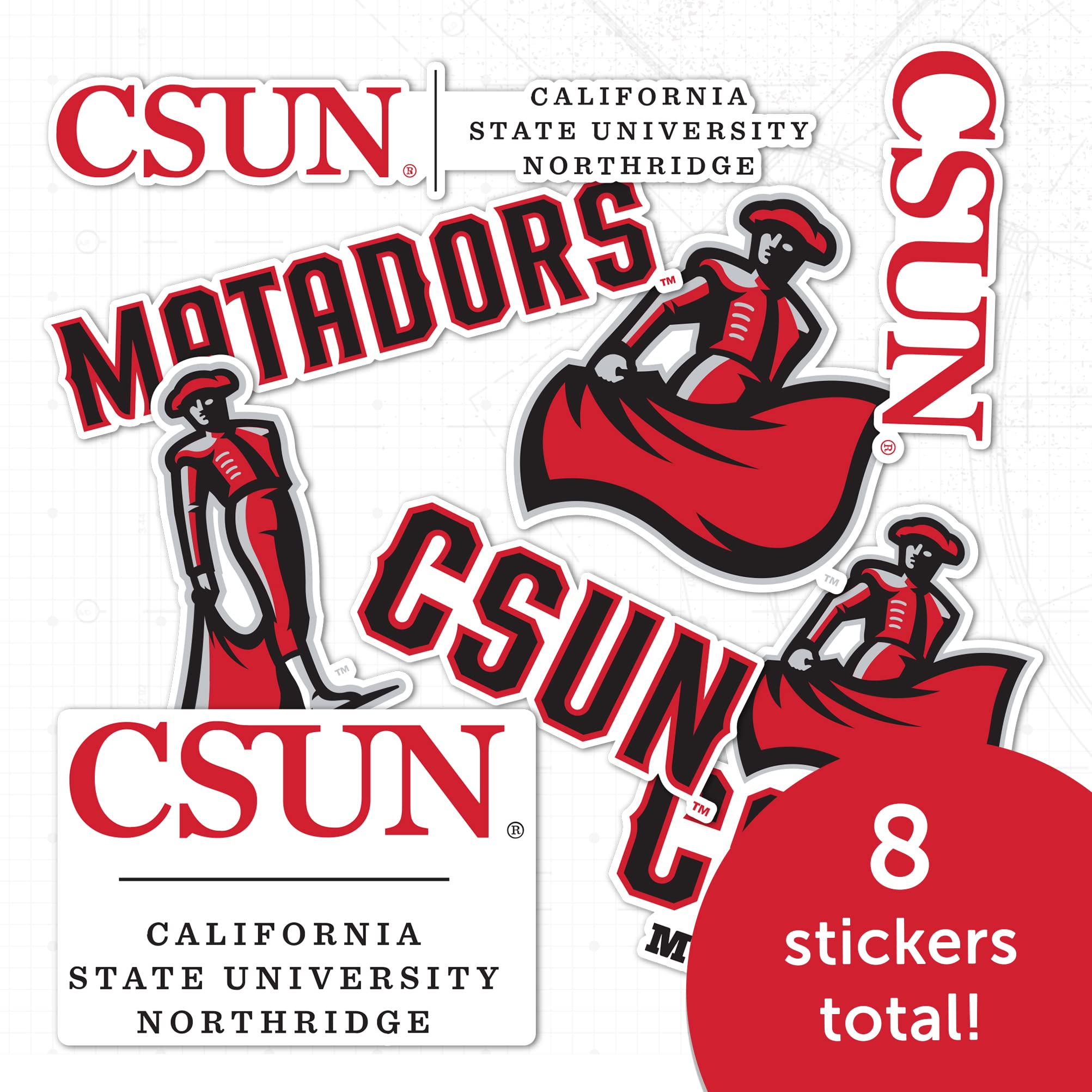 Csun Logo Global HSI Equity Innovation Hub