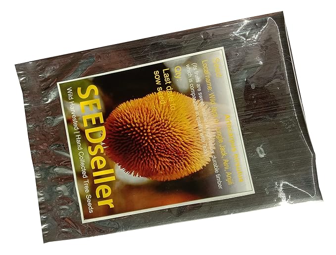 SEEDseller Artocarpus hirsutus Wild Jack or Jungle Jack, Aini, Anjili ...