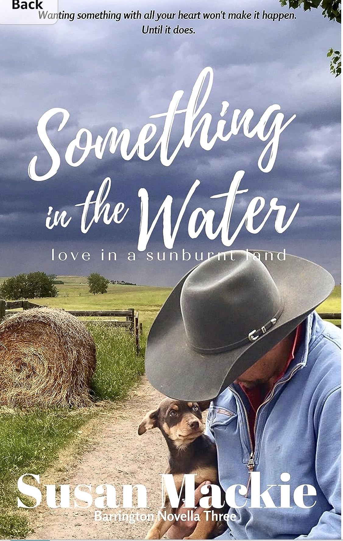 Something in the Water: Small Town Romance - Novella (Barrington Series ...