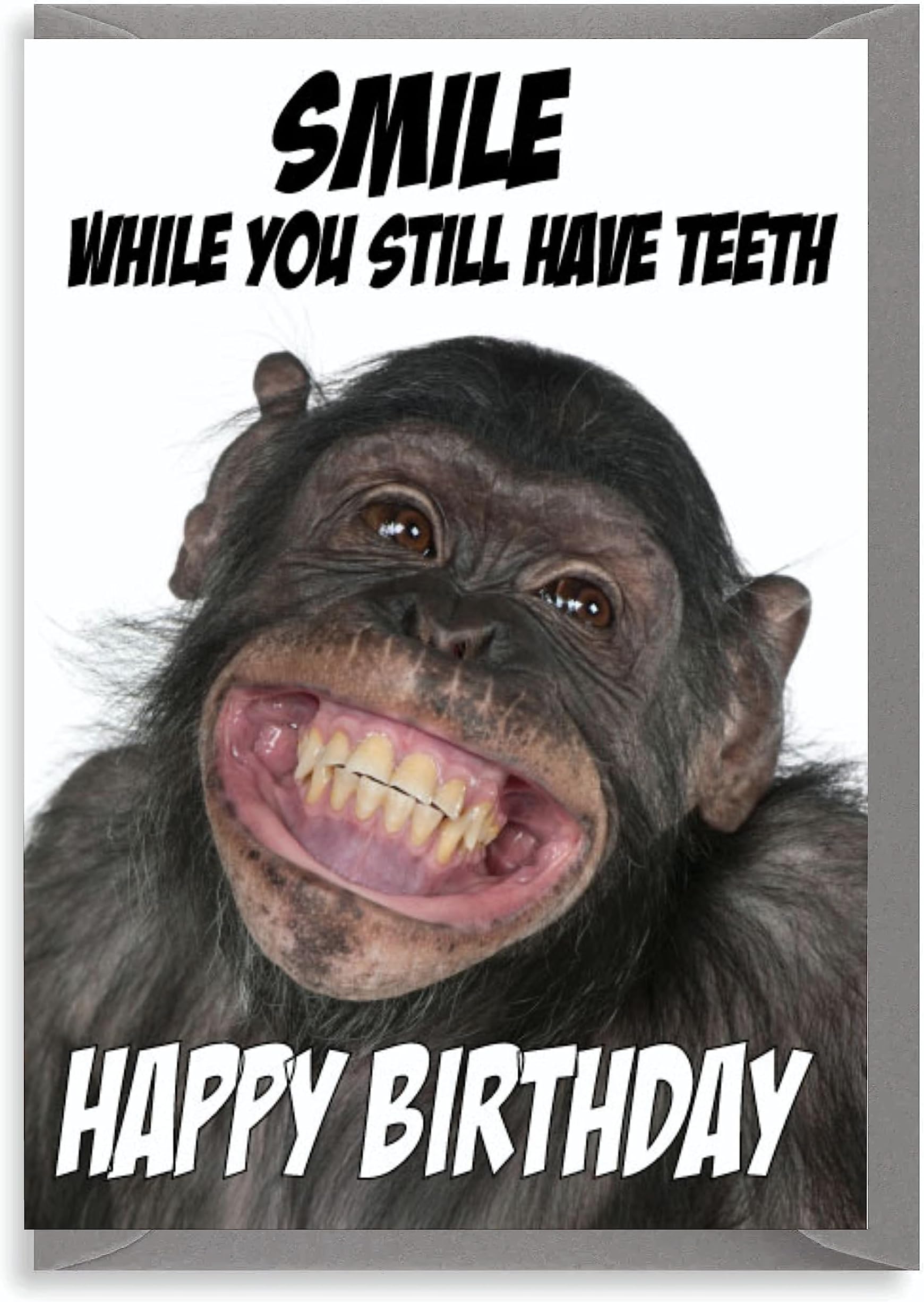 Cheeky Chops Cards Funny Birthday Card Monkey - Smile While You Still ...
