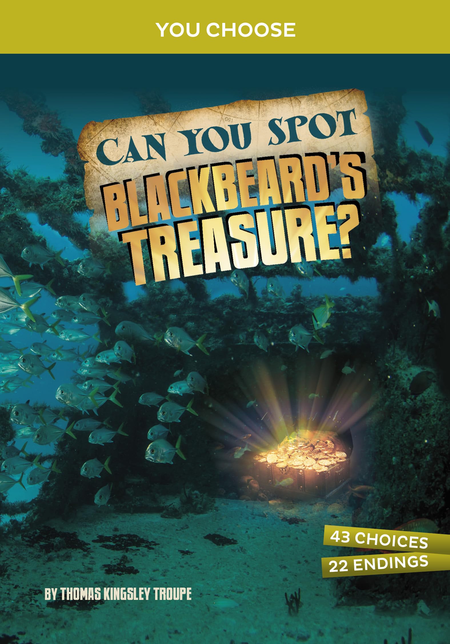 Can You Spot Blackbeard's Treasure?: An Interactive Treasure Adventure ...