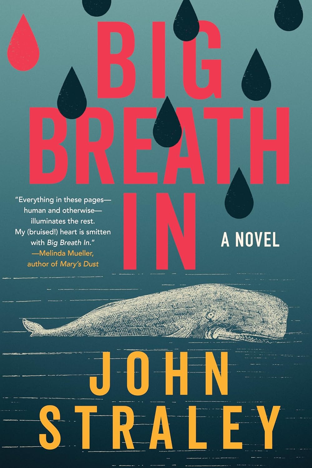 Amazon.com: Big Breath In eBook : Straley, John: Kindle Store