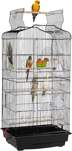 Amazon.fr : cage calopsitte