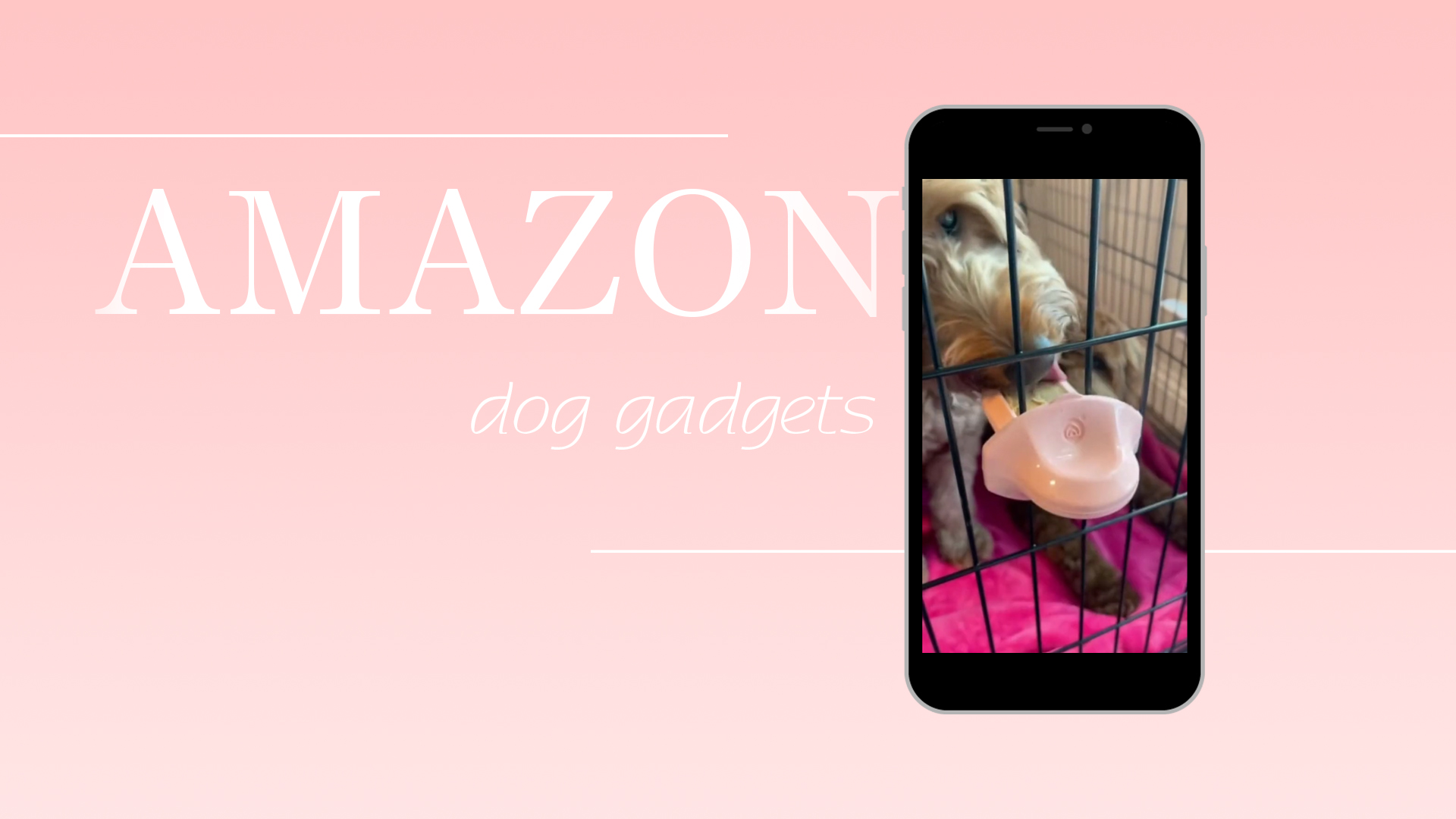 Layal Assi's Amazon Page