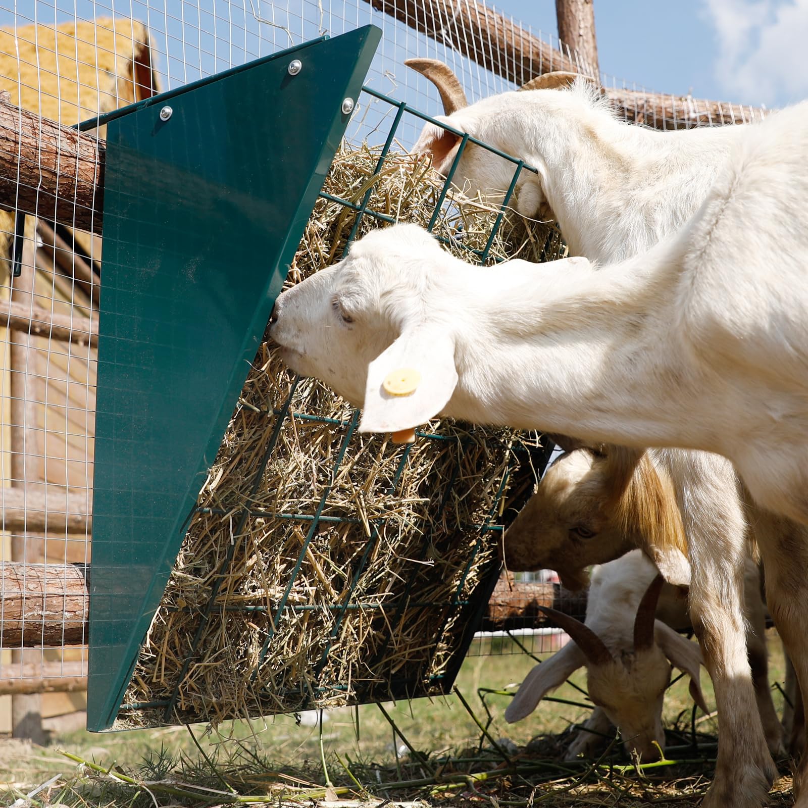 Hay Feeder Solution4Patio 2-in-1 Livestock Feeder Cart - Heavy Duty ...