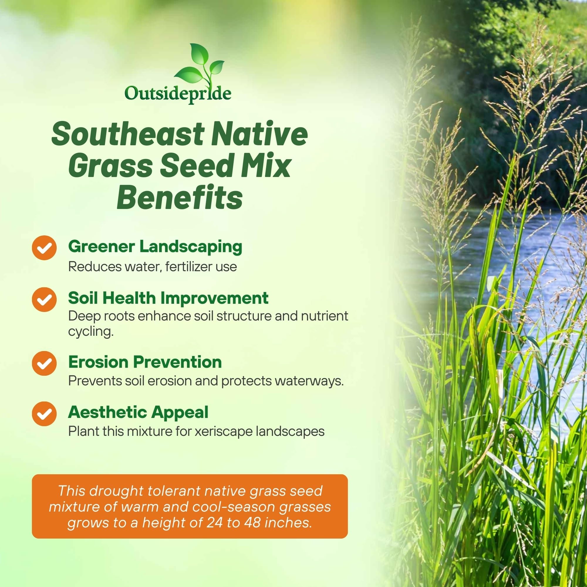 Southeast Landscaping Grass How To Maintain A Healthy Florida Lawn