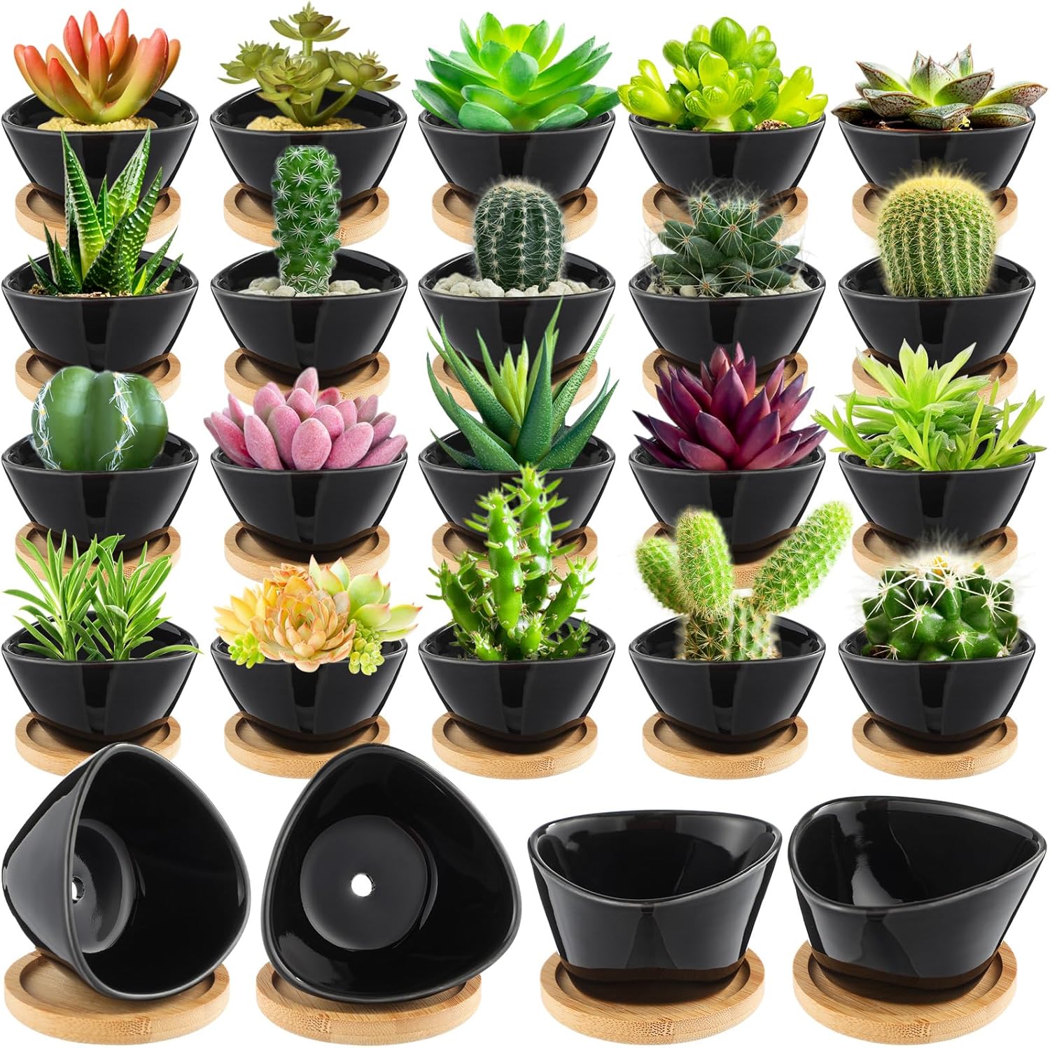 Amazon.com: Domensi 24 Pack Succulent Planter Pots 3 Inch Small Plant ...