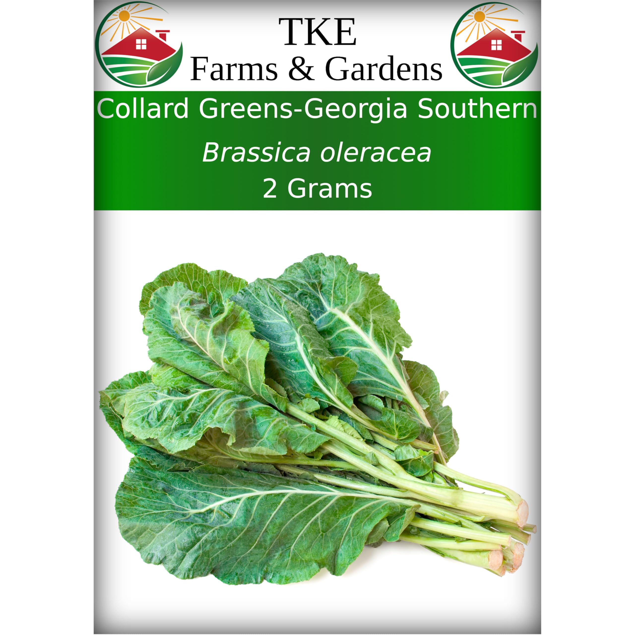 Amazon.com : TKE Farms & Gardens - Georgia Southern Collard Green Seeds ...