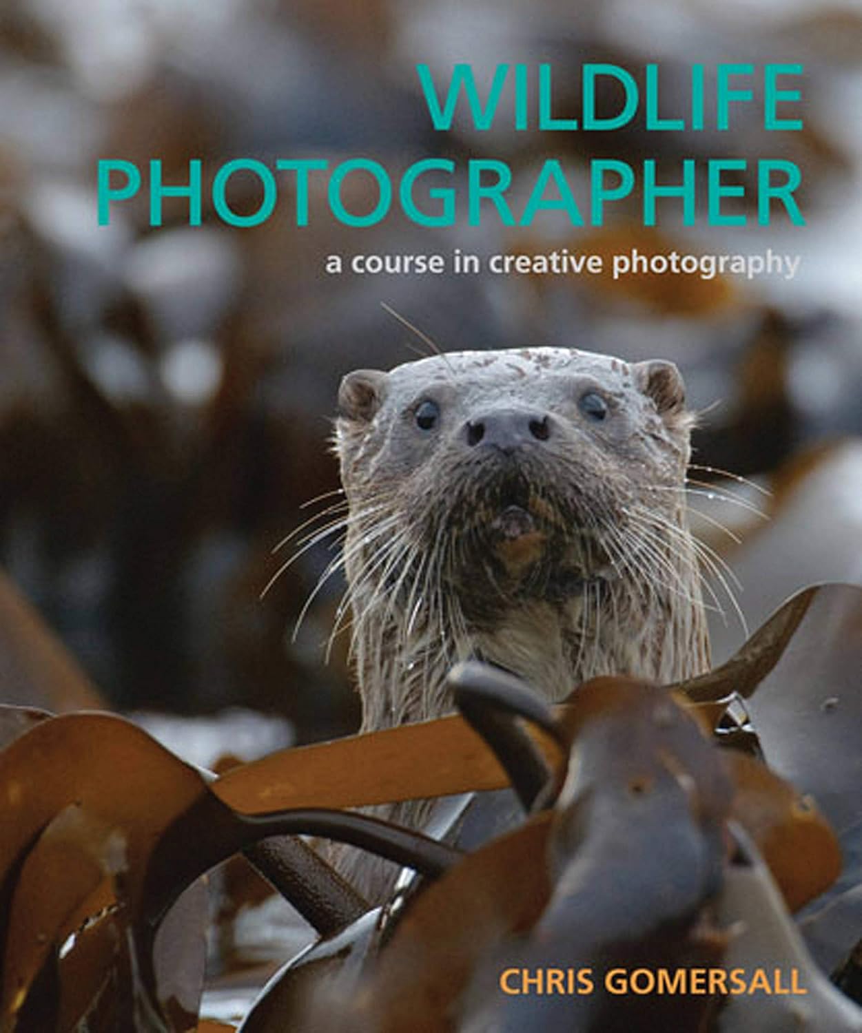Wildlife Photographer: A Course in Creative Photography : Gomersall ...