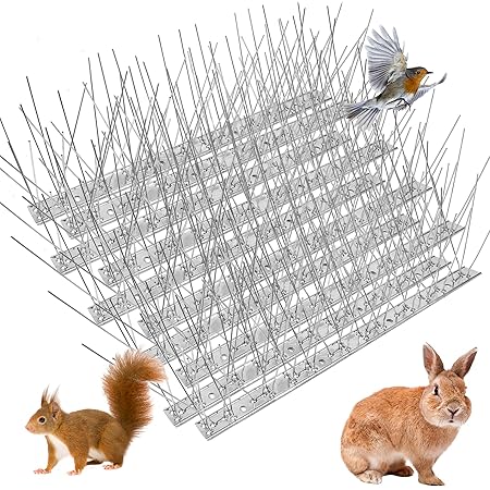 Amazon.com: Bird Spikes, 10 Packs Bird Deterrent Repellent Devices ...