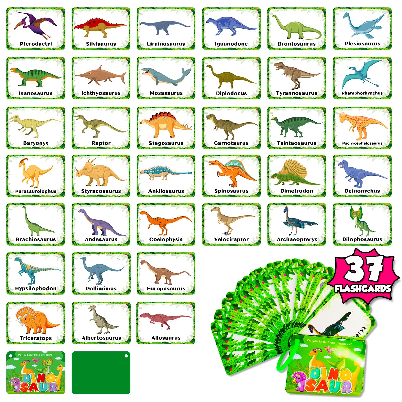 Amazon.com: Reusable Dinosaur Cognition Flash Cards for Kids, 37PCS ...