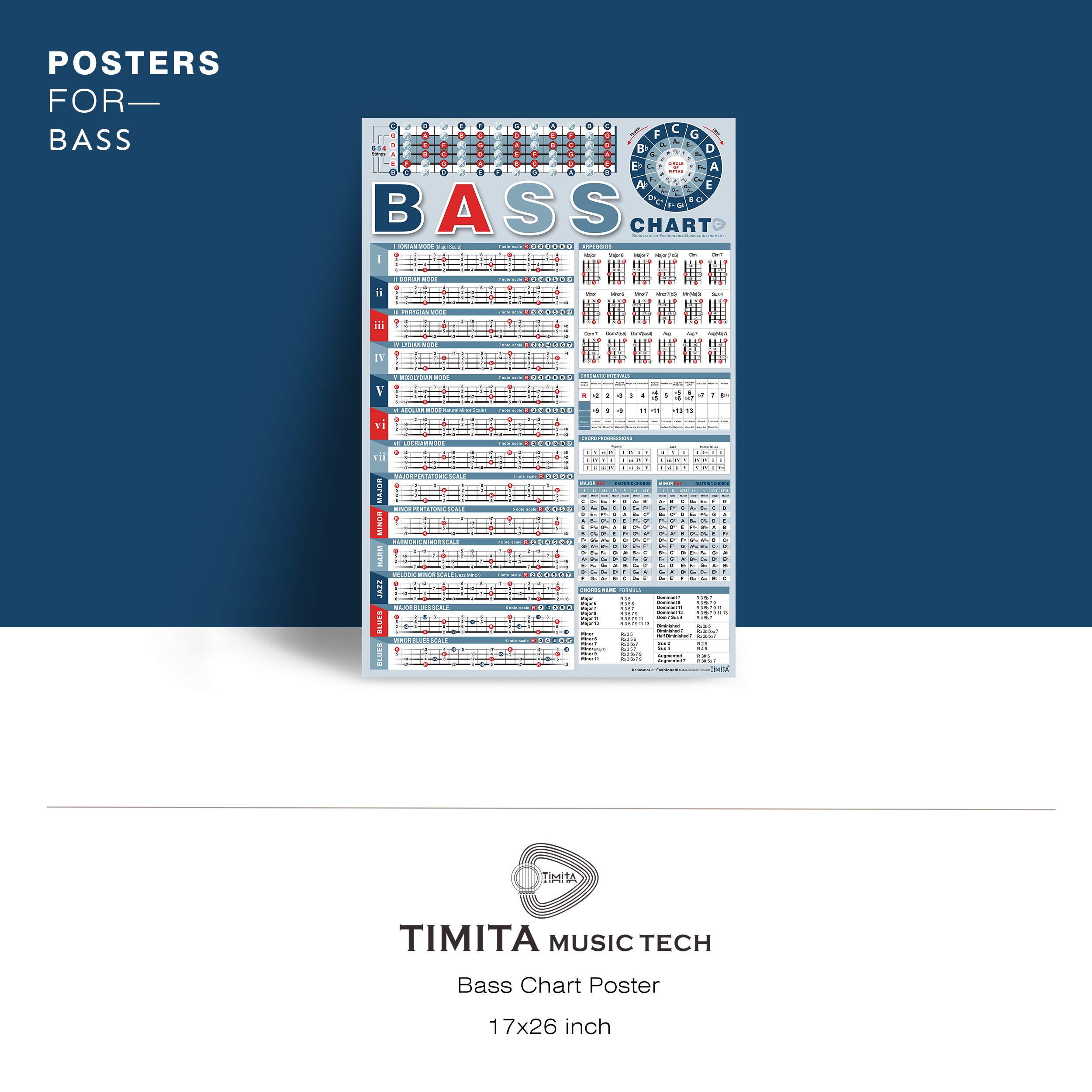 Bass Note Chart of Scale Chords | Bass Reference Poster for Beginners ...